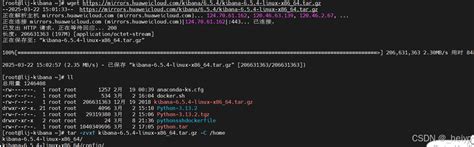 手把手教你搭建elasticsearch集群（linux Docker双方案）elasticsearch Linux环境集群部署 Csdn博客