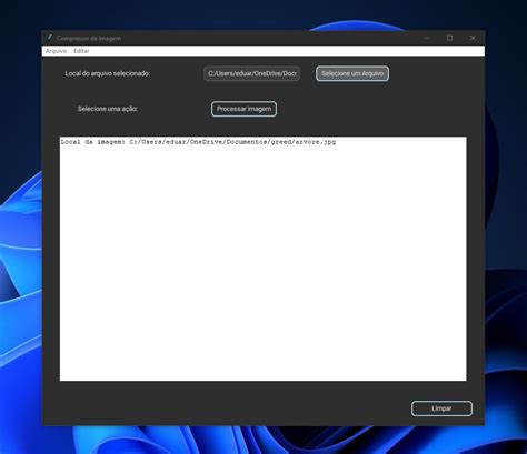 Github Projeto De Algoritmosfinalimagecompressor