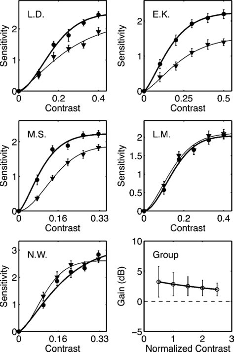 Sensitivity D A For Experiment 1a Peripheral Cues Backward Masks Download Scientific