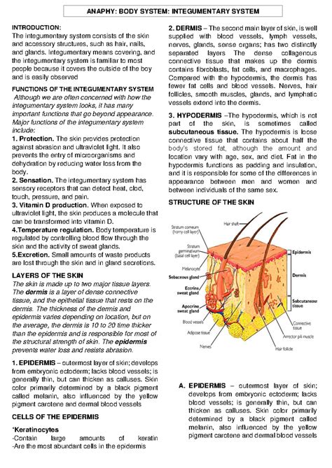 Integumentary System Introduction The Integumentary System Consists Of The Skin And Accessory