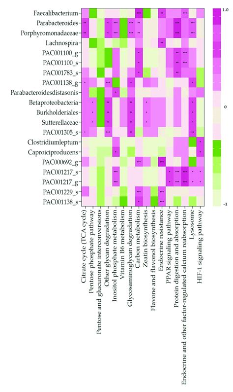 Heatmap Clustering Showing Correlation Analysis Between Significantly Download Scientific