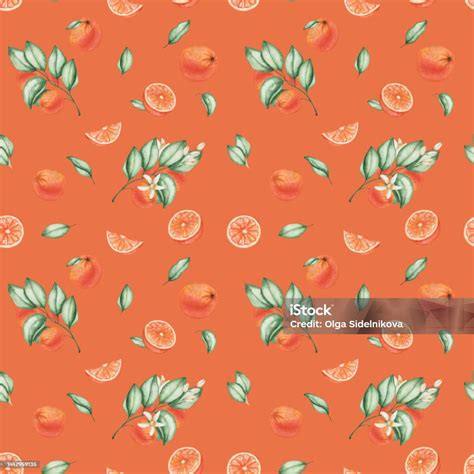 수채화 매끄러운 패턴입니다 오렌지 자몽 녹색 잎 가지 및 꽃이있는 감귤의 그림을 손으로 그렸습니다 열대 과일 얇게 썬 시트루이