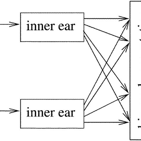 Binaural Model Of Directional Cue Decoding Download Scientific Diagram