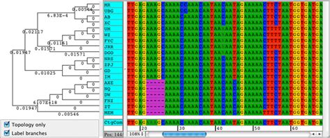 Protein Sequence Analysis Molikitty