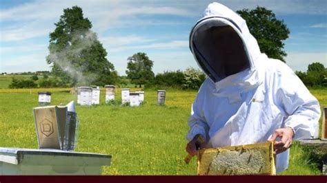 Dadant And Sons Beesynergy