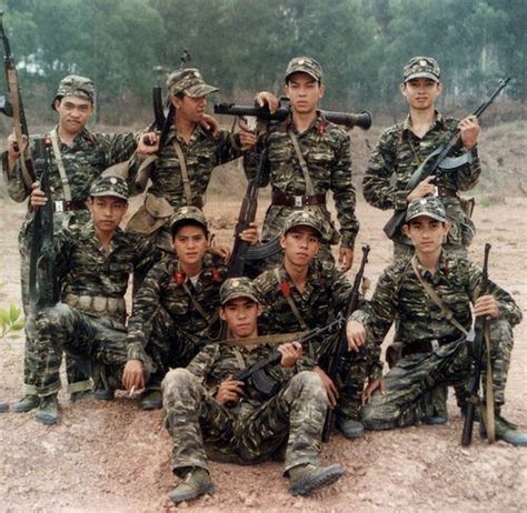 Peoples Army Of Vietnam Alchetron The Free Social Encyclopedia