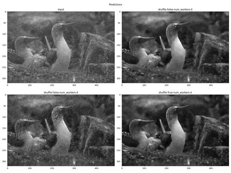 Encountered Strange Overfitting During Training With `numworker 0` When Shuffling Is Off