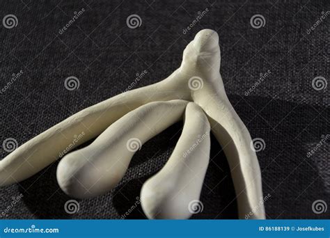 D Printed Female Sex Organ Clitoris For Anatomy Lessons Stock Image Image Of Black Body