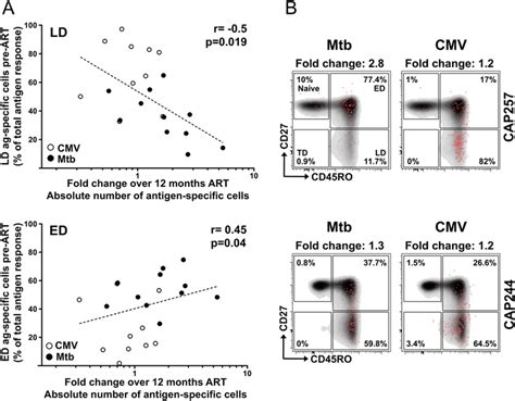 Relationship Between The Memory Profile Of M Tuberculosis Mtb And