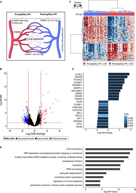 Discrimination Between Pre‐ And Postcapillary Pulmonary Hypertension