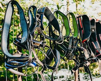 Arborist Harness Vs Climbing Harness