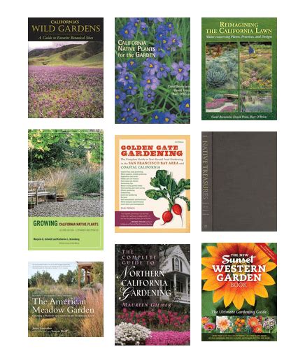 Northern California Gardening Native Plants Low Water Gardening And