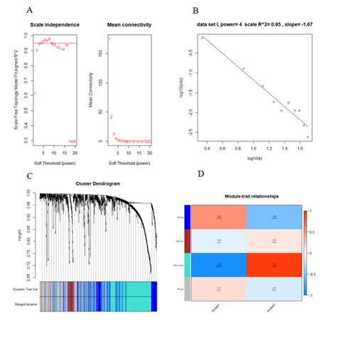 A Analysis Of Network Topology For Various Soft Thresholding Powers Download Scientific