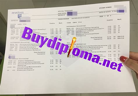 How Much Does A Fake Pennsyvania State University Transcript Cost