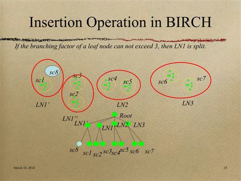 Ppt Birch Balanced Iterative Reducing And Clustering Using