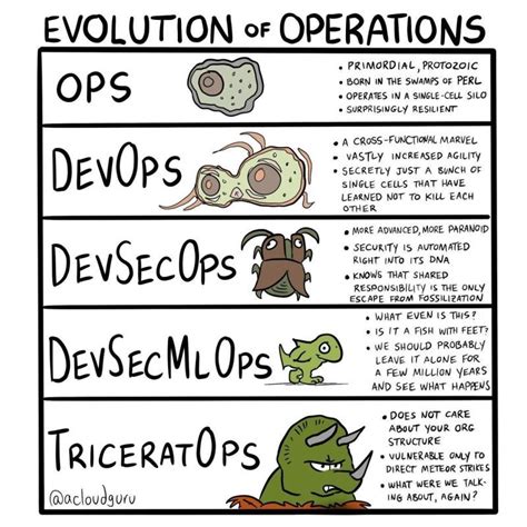 Rajani Ekunde☁️ On Linkedin Devops Mlops