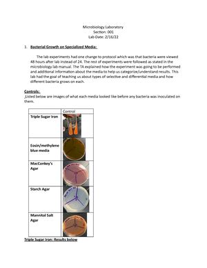 Microbiology Laboratory BIOL4040 Lab 1 Report Microbiology Laboratory BIOL Section 001 Lab