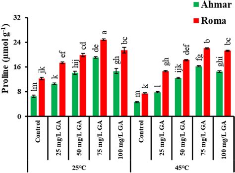Proline Content Of Tomato As Affected By Temperature Genotype And