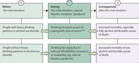 Alcohol Use Disorders The Lancet