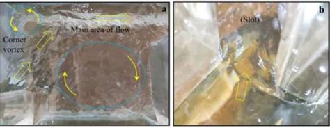 Illustrates The 3d Vortex Structure Of Pool Chamber 1 Captured Using Download Scientific