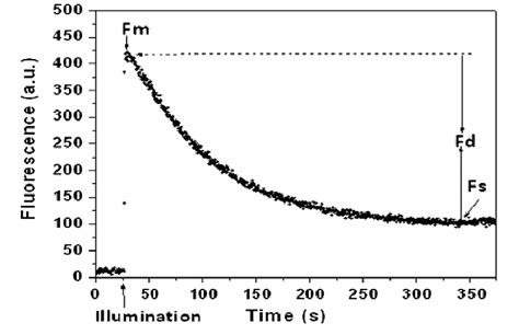 Fluorescence Induction Kinetics Curve Of Leaves Excited By 365 Nm Of Download Scientific