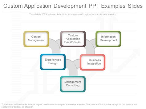 Custom Application Development Ppt Examples Slides
