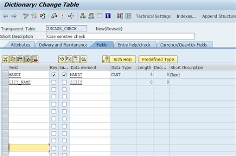 Sap Abap Consultant Career Sap Abap Data Dictionary Case Sensitive In