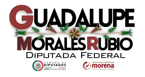 Gestión Ciudadana Diputada Guadalupe Morales Rubio