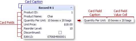 Card Field WinForms Controls DevExpress Documentation