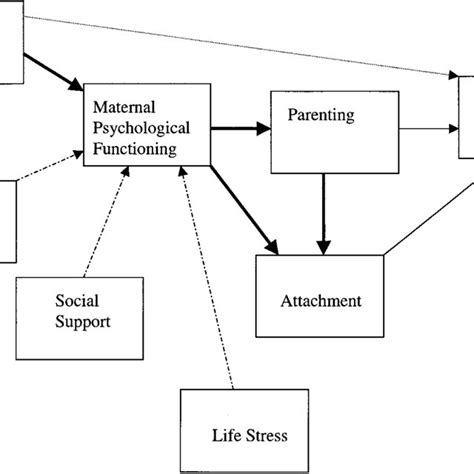 Hypothesized Model Arrows Represent Hypothesized Pathways As Follows