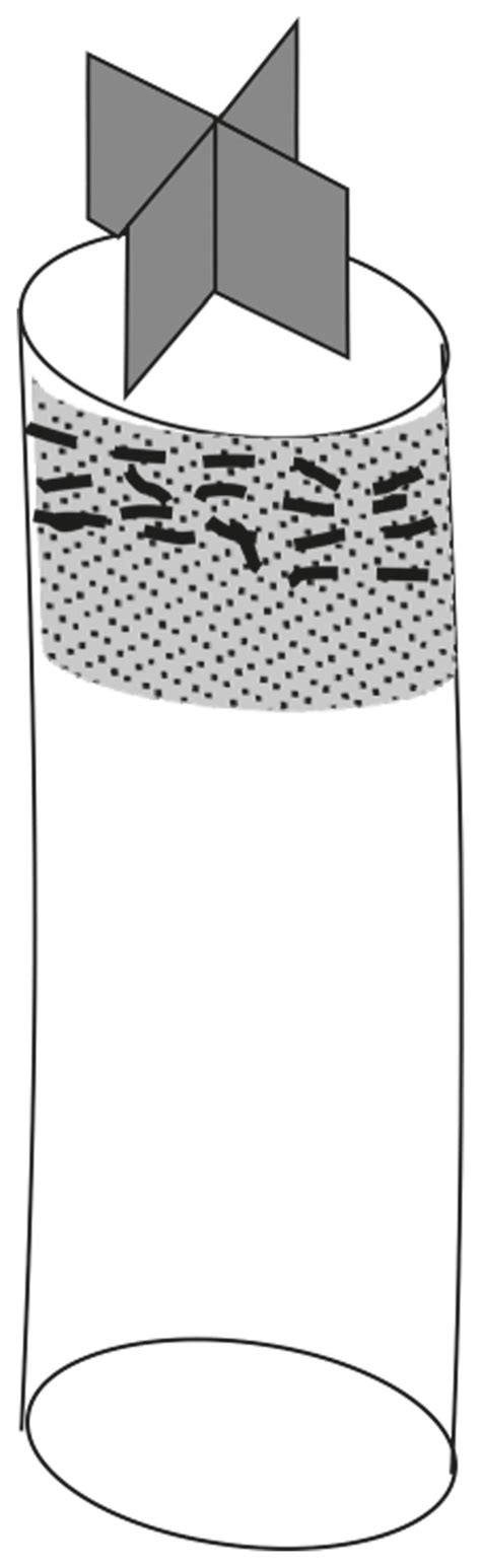 Typical Failure Modes Of Strengthened Specimens A FRP Tube Download Scientific Diagram