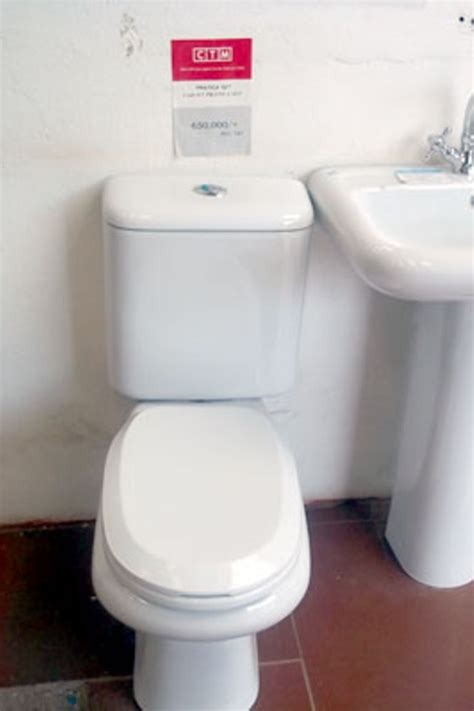 Choose The Right Cisterns For The Toilet Daily Monitor