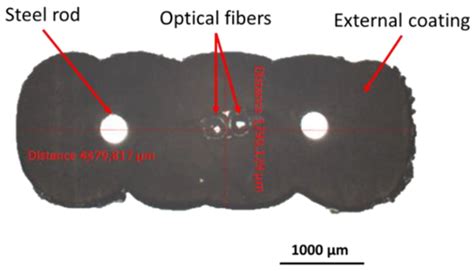 Application Of Distributed Optical Fiber Sensing Technology To The Detection And Monitoring Of
