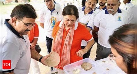 Asi Will Now Bring In Remote Sensing Tool For Pre Excavation Surveys Delhi News Times Of India