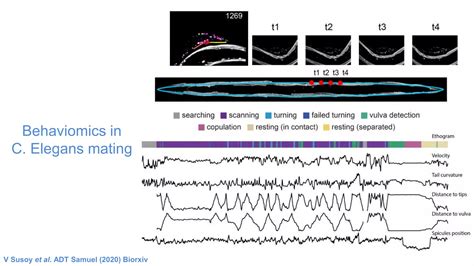 Big Behaviour Leveraging Deep Learning For Behaviomics Possible Applications In Same Sex