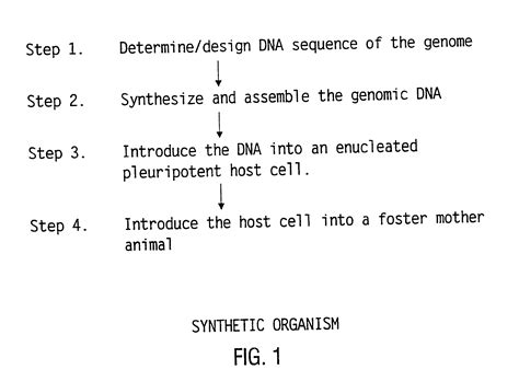 Oligonucleotide Synthesis Patented Technology Retrieval Search Results Eureka Patsnap