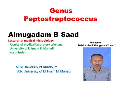 Peptostreptococcus Pdf Chemistry Science Peptostreptococcus Pdf Chemistry Science