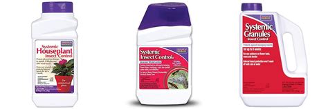 Top 5 Systemic Insecticides For Mealybugs Reviews And Guide