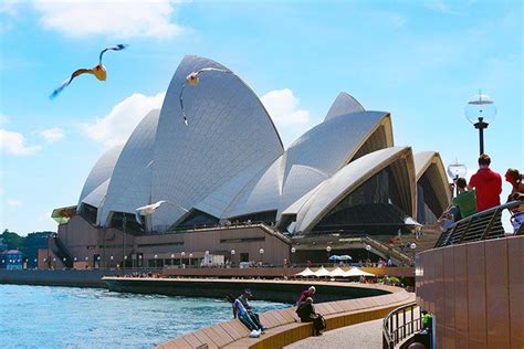 [ok여행사 단독 특가] 시드니 핵심 4박5일 패키지 시티 중심 4 호텔 1박 무료포함 줌줌투어 호주 시드니