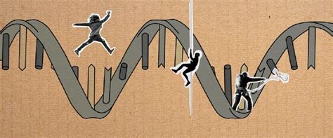 Hafiz Muhammad Shahzaib Siraj On Linkedin Bioinformatics Research Poll Dataanalysis