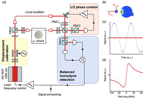22 A Optical Interferometric Displacement Transducer Based On