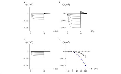 Simulated Activating Currents Recorded From An Isolated Cell