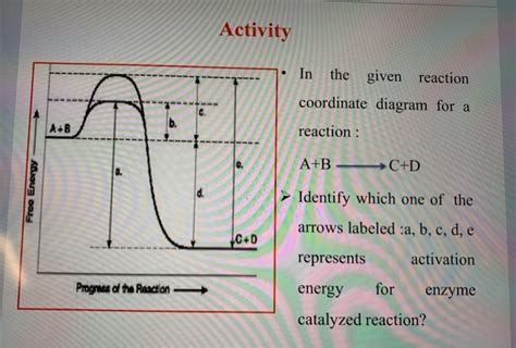 39 Label The Following Reaction Coordinate Diagram