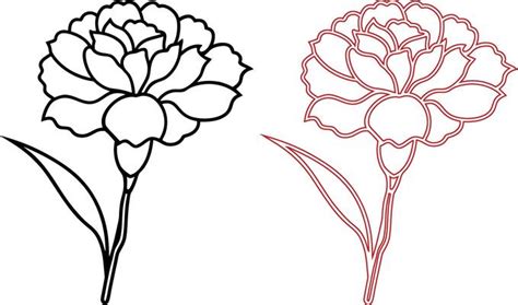 Carnation Line Drawing Vector Art Icons And Graphics For Free Download