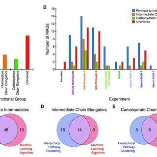 Summary Of Machine Learning Categorization A Distribution Of The 131 Download Scientific
