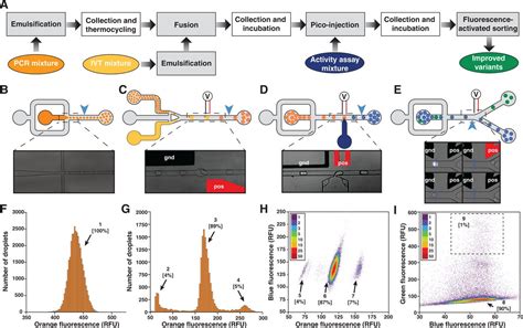Using Droplet Based Microfluidics To Improve The Catalytic Properties Of RNA Under Multiple