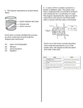 Diffusion Through A Membrane Lab Regents Review TPT