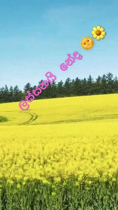 ලස්සන ඩෙන්මාර්ක් 🇩🇰 Youtube