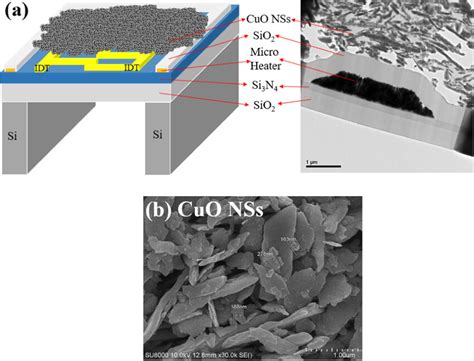 a the sem image and the structure of the cuo nss mems gas sensor and