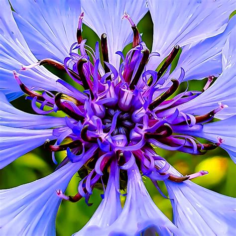 נגלה ונעלם תערוכת יחיד מסקרנת לאמנית מיקה הדר בגלריה לאמנות שבטית וישראלית סדן הפקת אמנות